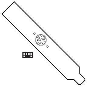 PS2 interface with backplate 6 – 8 way IDC - Shiny Hardware